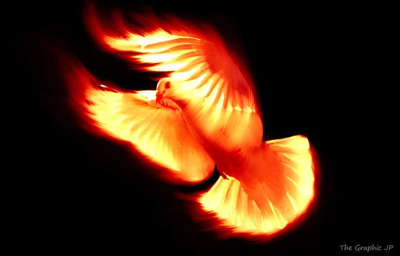 How The Holy Spirit Works In Your Life - emeryhorvath.com